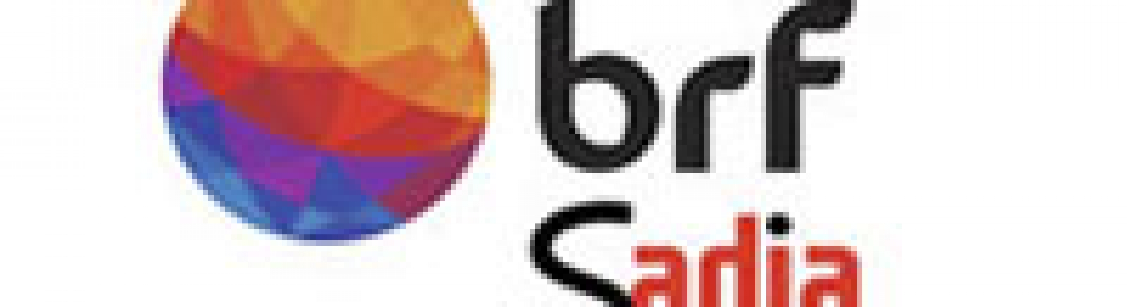 BRF - Prof. Itamar Ribeiro - Palestras com conteúdo e show